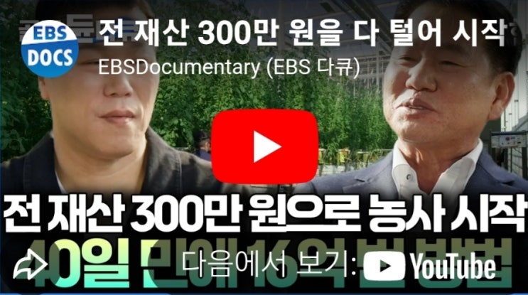 스마트팜 도마토 농사 : 네이버 블로그