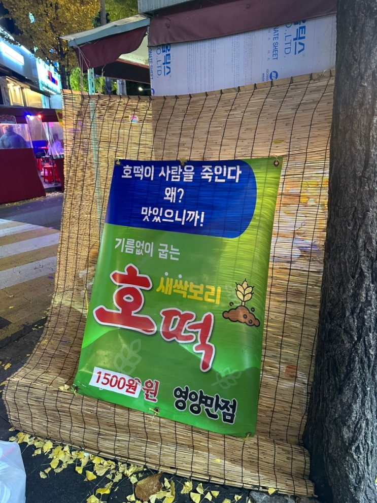 11월은 즐?거?워? : 네이버 블로그