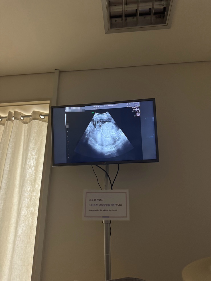 [임신기록 15] 22주차 정밀초음파 검사, 청화병원 전원(대병 소견서 받은 이슈..) : 네이버 블로그