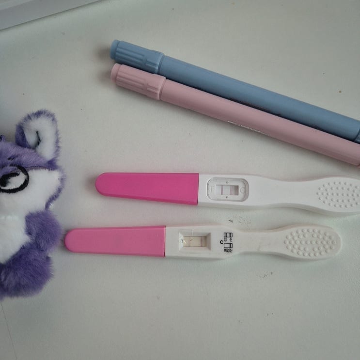 임신초기증상 임신 4주 5주 특징 : 네이버 블로그