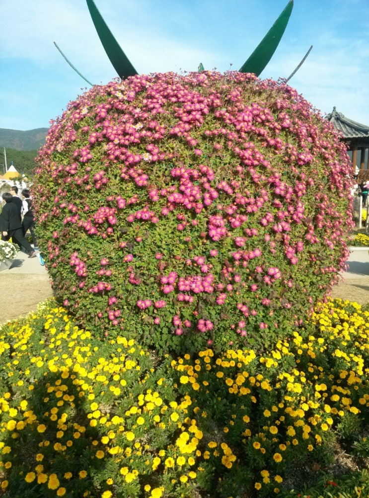 관성이 많은 사주 : 네이버 블로그