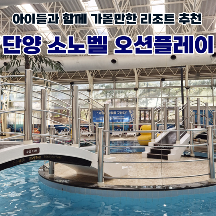 소노벨단양 리조트 아이와 겨울 가볼만한곳 워터파크 오션플레이 사우나 후기 : 네이버 블로그