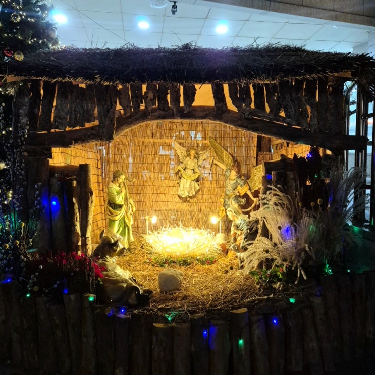 2025년 크리스마스이브 난곡동성당 밤미사 참례후기｜첫손자 해봄이 축복기도 : 네이버 블로그