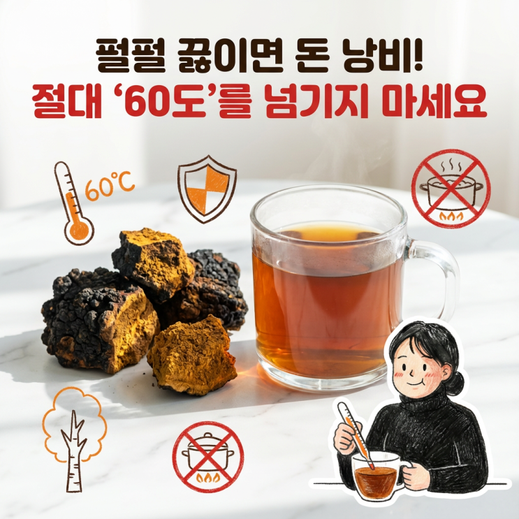 러시아 차가버섯 효능 부작용 먹는법 끓이는법 : 네이버 블로그
