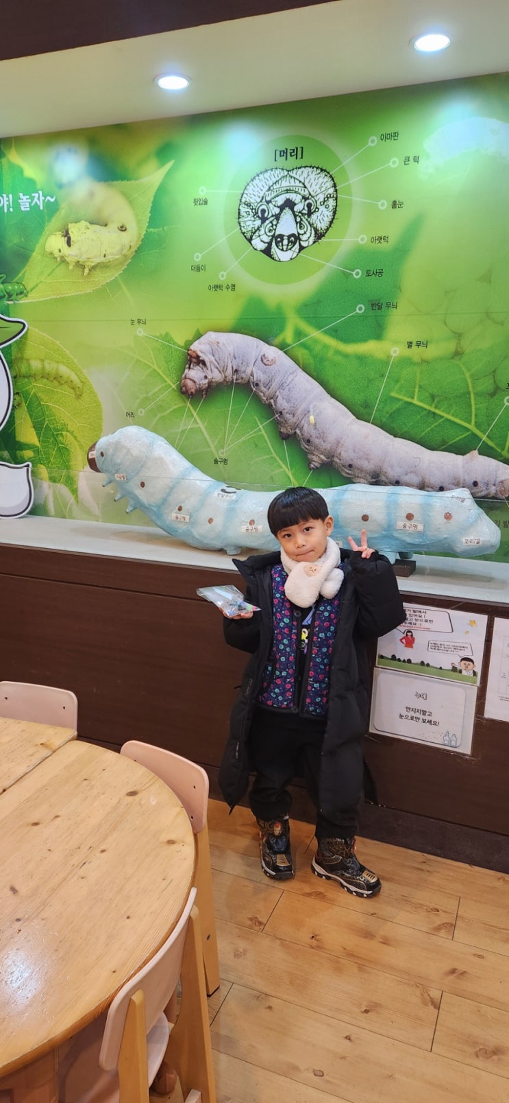 대전 근교 청주 5살 아이랑 가볼만한 곳 눈썰매장이 있는 한국잠사플레이팜 한국잠사박물관 : 네이버 블로그