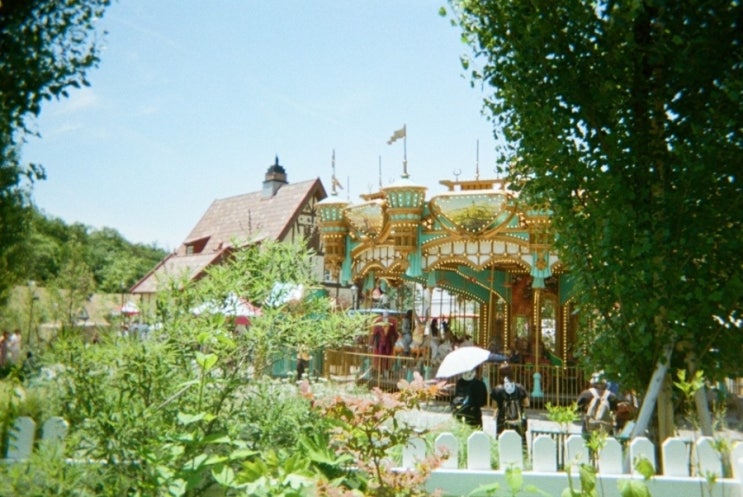 필름 카메라(코닥) 현상/스캔 후기 - 여기현상소 📸 : 네이버 블로그