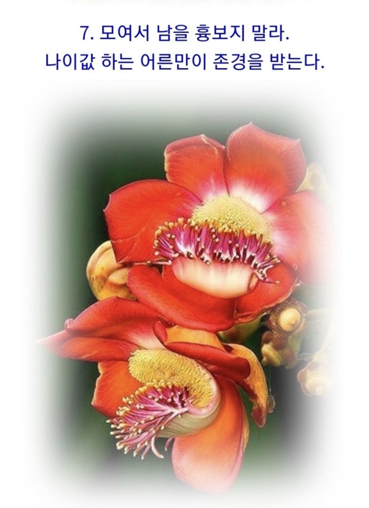 서울중앙 경매4계 2024 타경 2228 [다가구주택] : 네이버 블로그