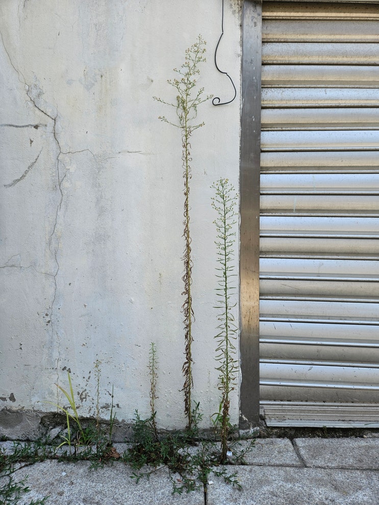 쓸모에 대해 : 네이버 블로그