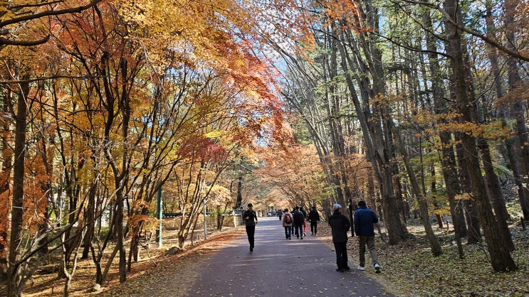 속리산 : 네이버 블로그