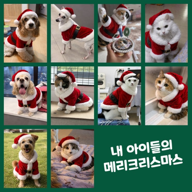 산타가 된 내 아이들~ 메리크리스마스 : 네이버 블로그
