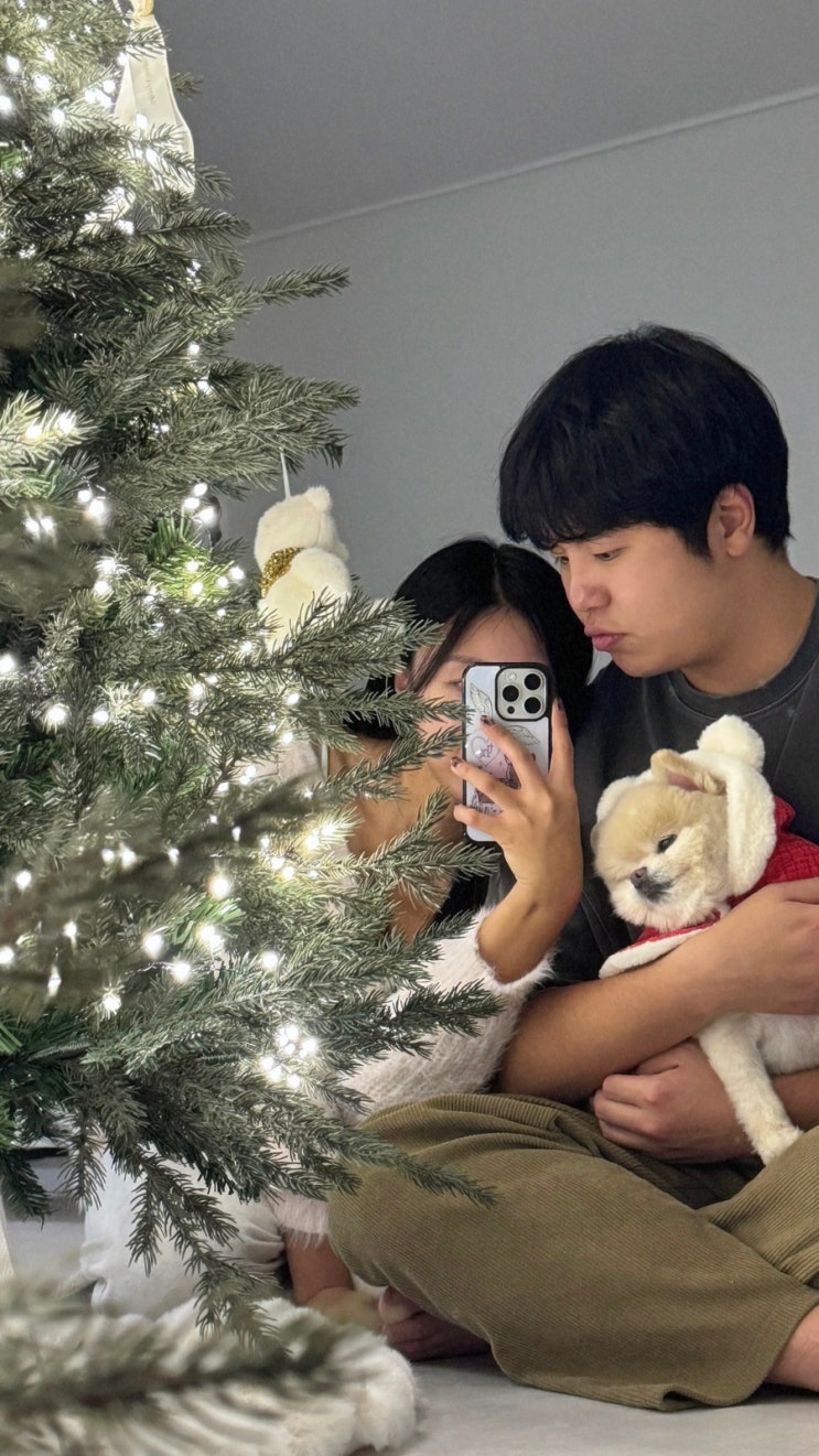 신혼집에서 보낸 첫 크리스마스 홈파티 with 몽 🎄 : 네이버 블로그