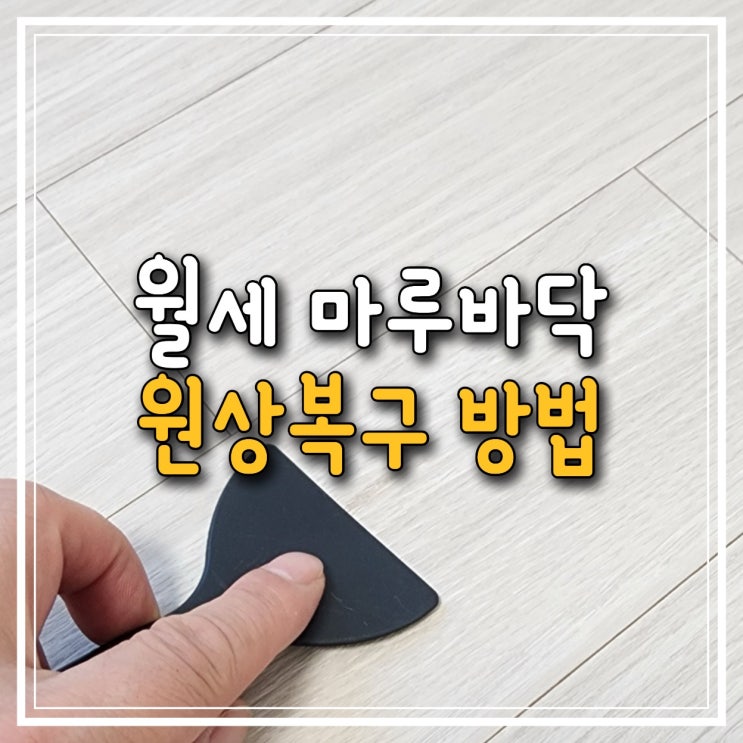 월세 마루긁힘 가성비있게 원상복구 해결한 후기 (집주인도 못알아봄) : 네이버 블로그