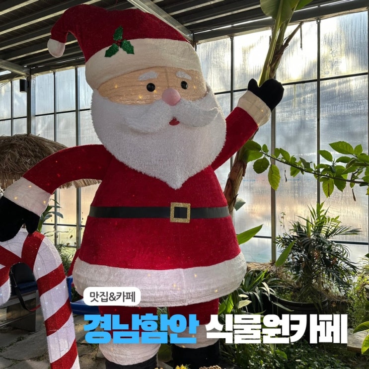 아이랑 경남함안 아라깨비 식물원 카페(메리 크리스마스 🎄) : 네이버 블로그