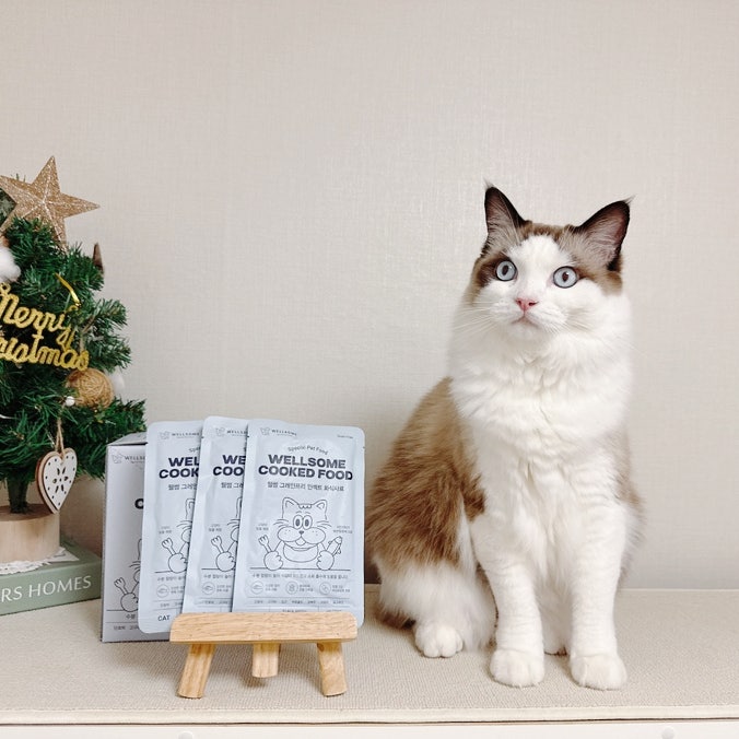 고양이 습식 사료, 관절 건강 위한 웰썸 곤충 화식 : 네이버 블로그