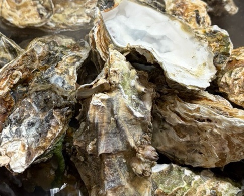 석화찜 by 박수통 : 네이버 블로그