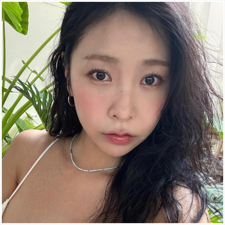 허찬미 나무위키 나무 엄마 미스트롯4 아이돌 근황 : 네이버 블로그