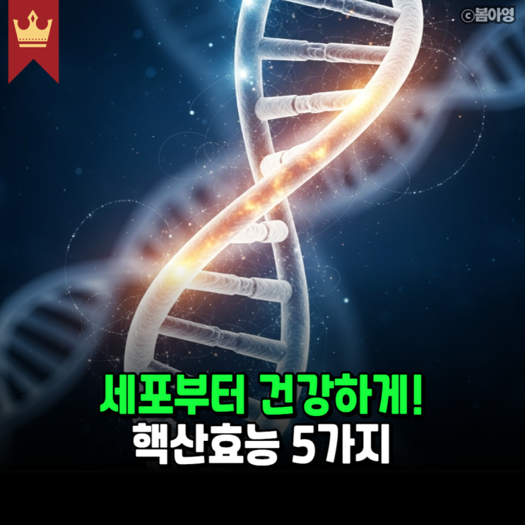 세포부터 건강하게! 핵산효능 5가지 : 네이버 블로그