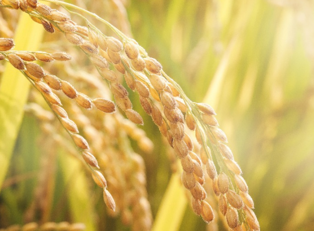 쿠팡의 오만(arrogance)과 집단소송 시사 영어 표현 공부 : 네이버 블로그