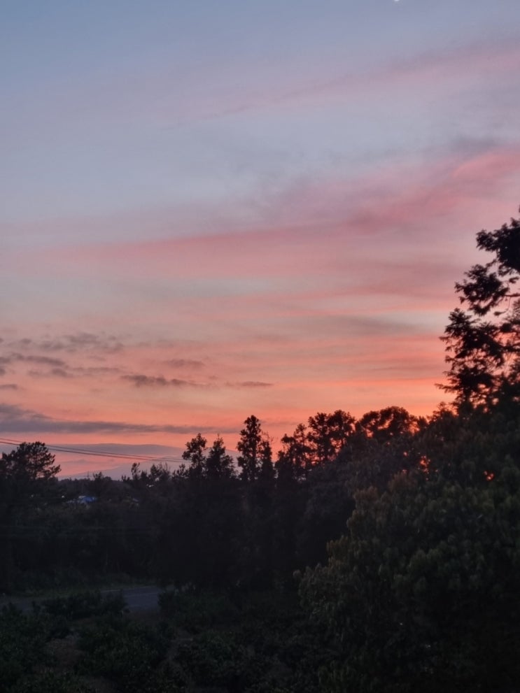 제주 감귤밭 사이 집에서, 요즘 내가 자주 하는 생각 : 네이버 블로그