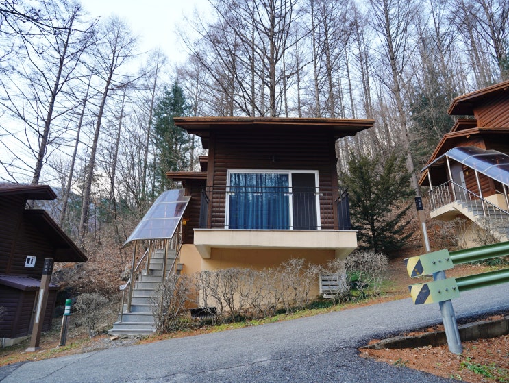 무주 덕유산자연휴양림 숲속의집 고로쇠나무 숙소 후기 예약 방법 : 네이버 블로그