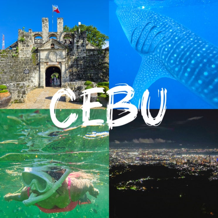 필리핀 세부 여행 선물 세부 패키지 여행 후기 : 네이버 블로그