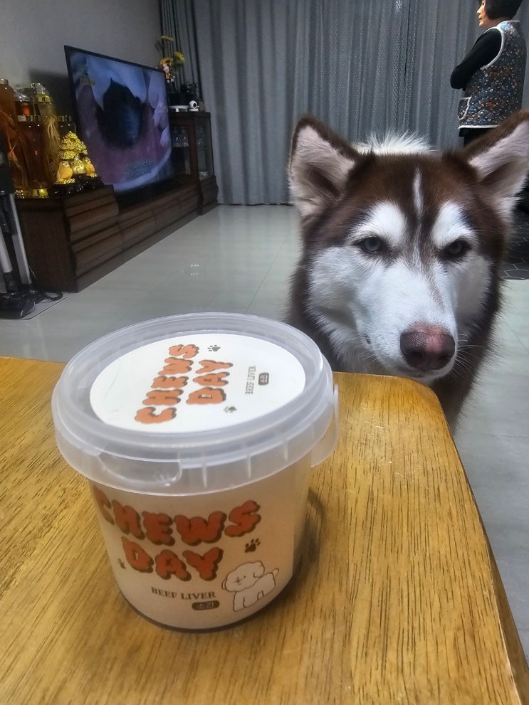 허스키 정보에서 받아온 츄스데이간식 : 네이버 블로그