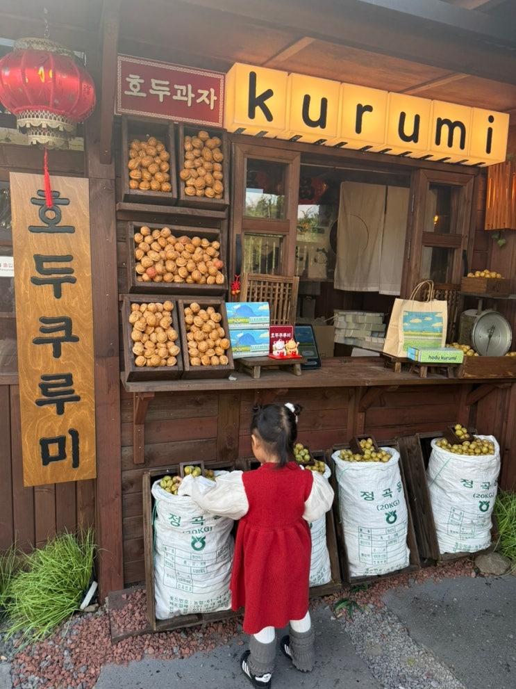 제주 산방산 근처 비밀역 안의 작은 카페 호두쿠루미 제주도여행선물 추천 : 네이버 블로그