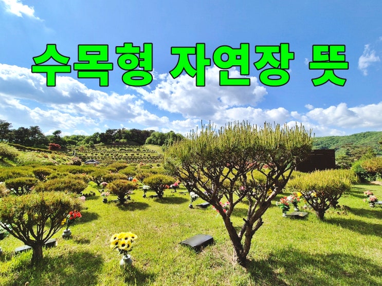 수목형 자연장 뜻과 왜 가장 선호될까? : 네이버 블로그