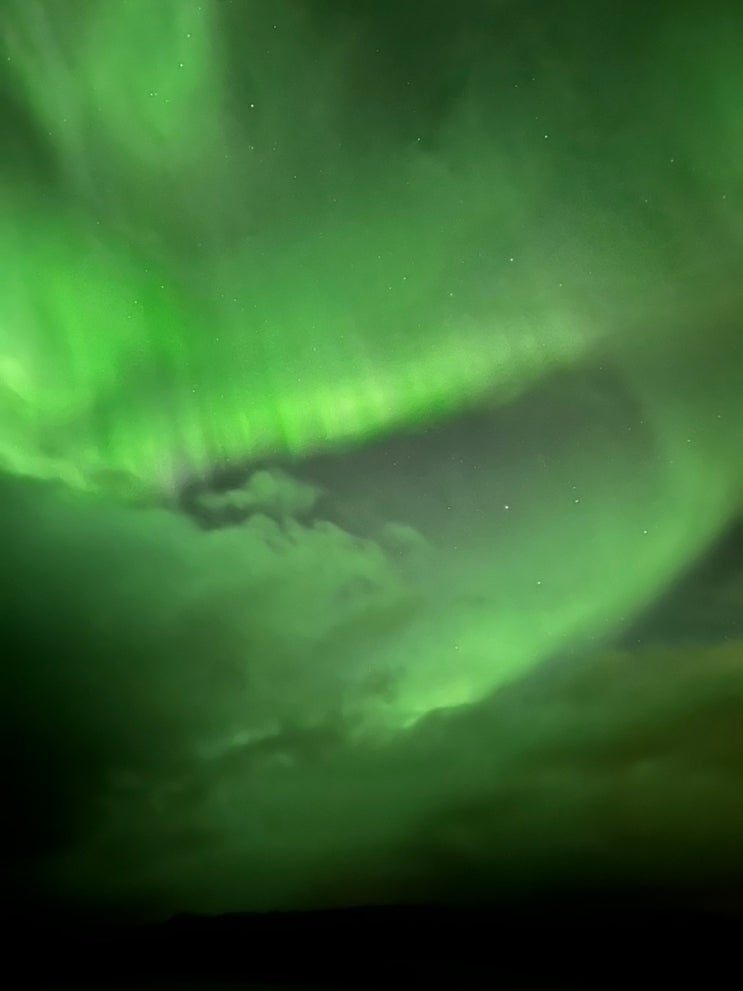 아이슬란드 여행 :: 오로라 관측 & 사냥 후기 그리고 꿀팁💚🩷💜💙 : 네이버 블로그