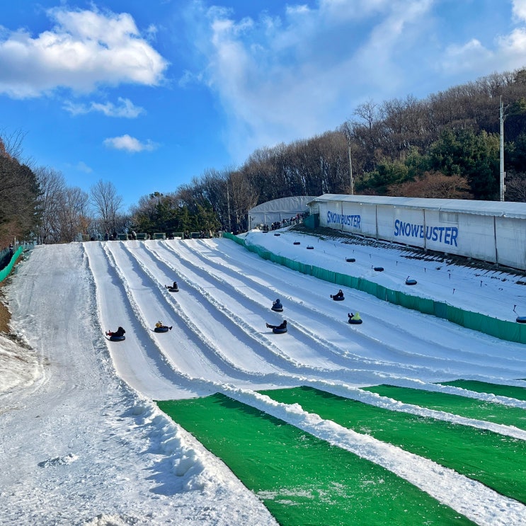 용인 에버랜드 눈썰매장 스노우버스터 개장일 및 가격, 준비물 아이랑 찐후기 : 네이버 블로그