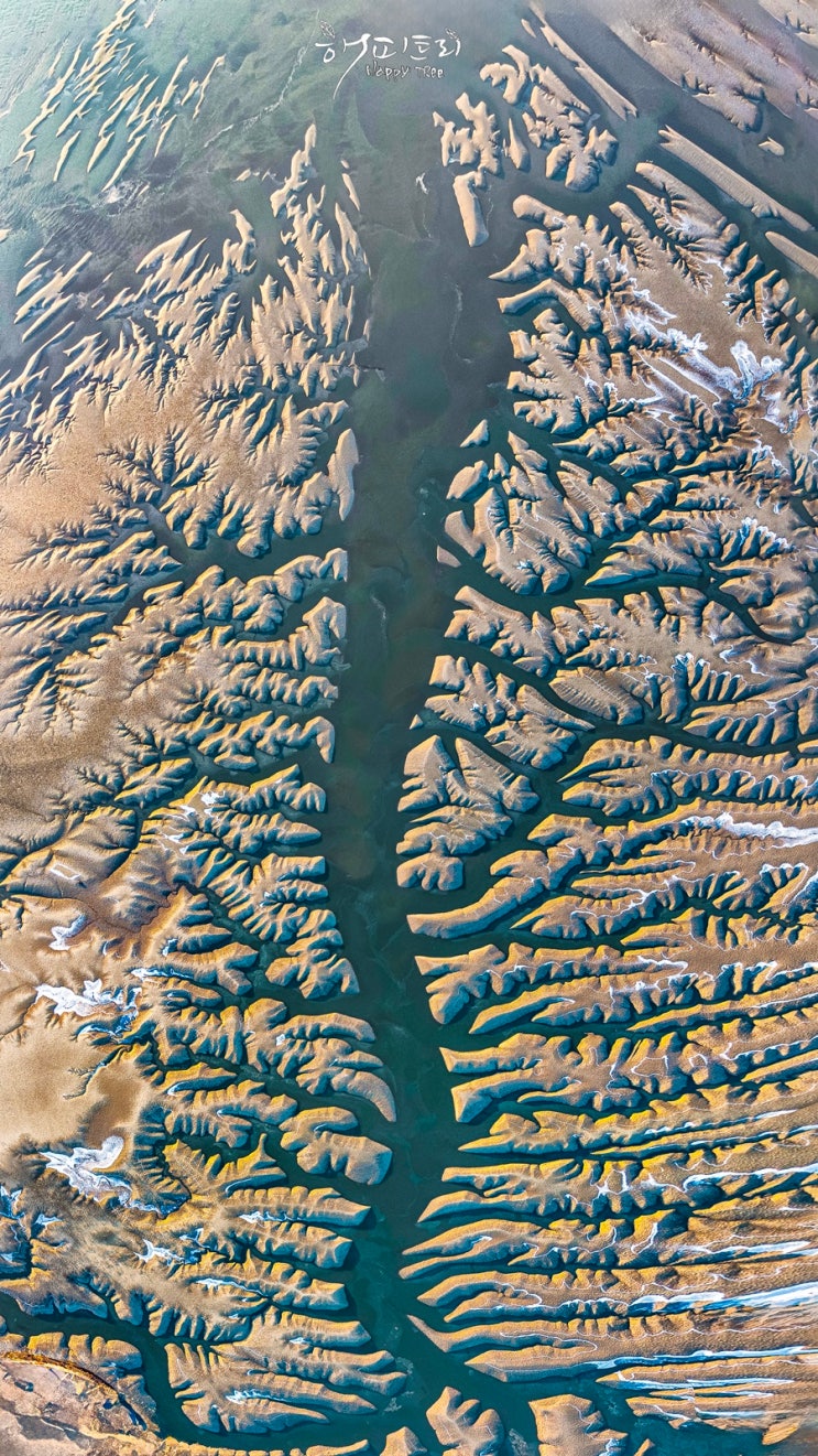 당일치기바다 여행하기 좋은 인천강화도 - 20251226-아침 강화도 : 네이버 블로그