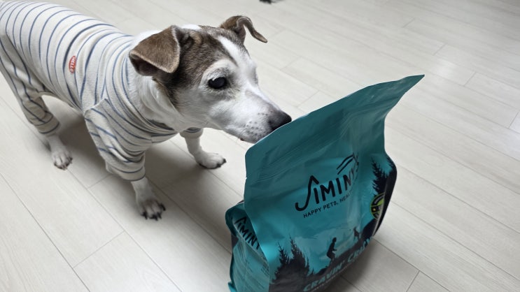 제가 먼저 먹어본;; 강아지 곤충사료 추천 (ft.지미니) : 네이버 블로그