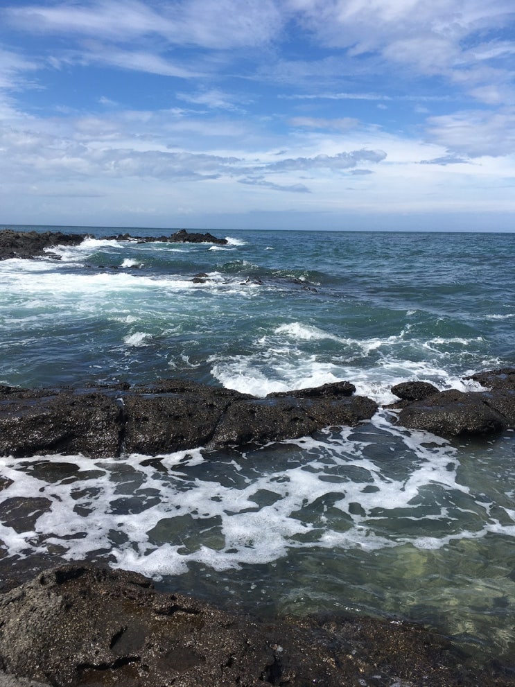 [Web발신] 휴학 승인처리가 완료되었습니다. : 네이버 블로그