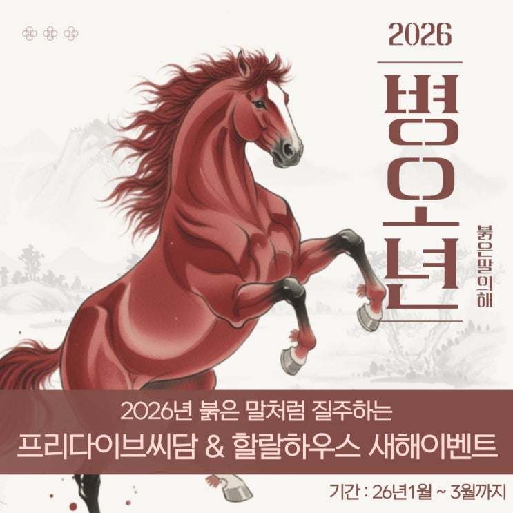다합 프리다이빙 프리다이브 씨담 숙소 연계 2026년 새해 이벤트 : 네이버 블로그