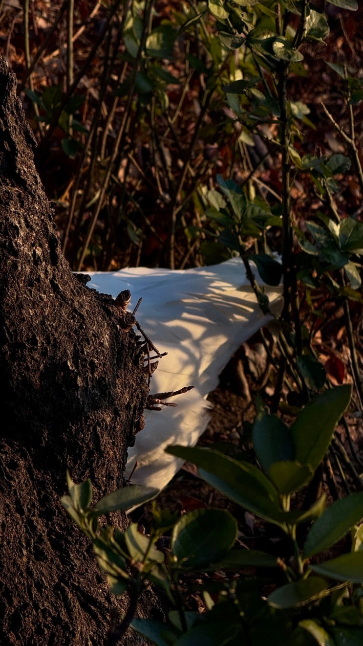 1226 : 네이버 블로그