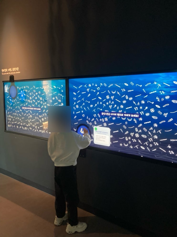 부산 국립해양박물관 : 어린이박물관 예약방법 및 체험 후기 : 네이버 블로그