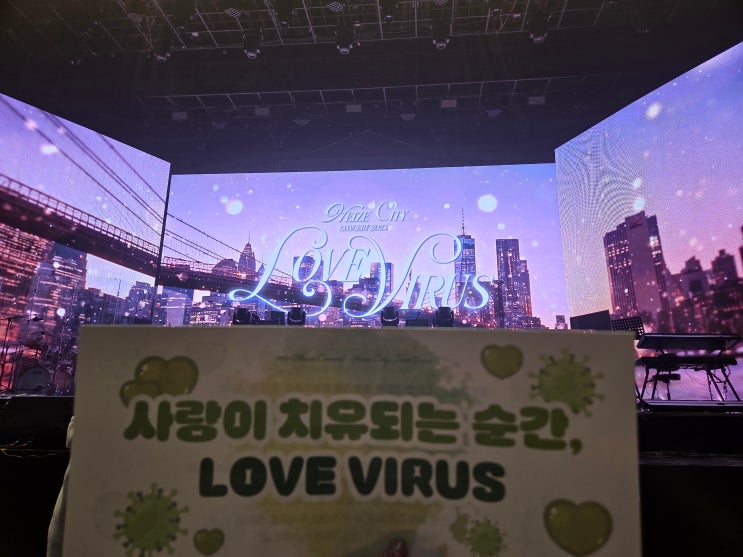 2025 헤이즈 콘서트 후기 l 2025 Heize Concert [Heize City : LOVE VIRUS] l FLOOR ...