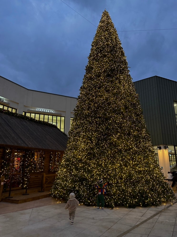 12월 zip. : 네이버 블로그