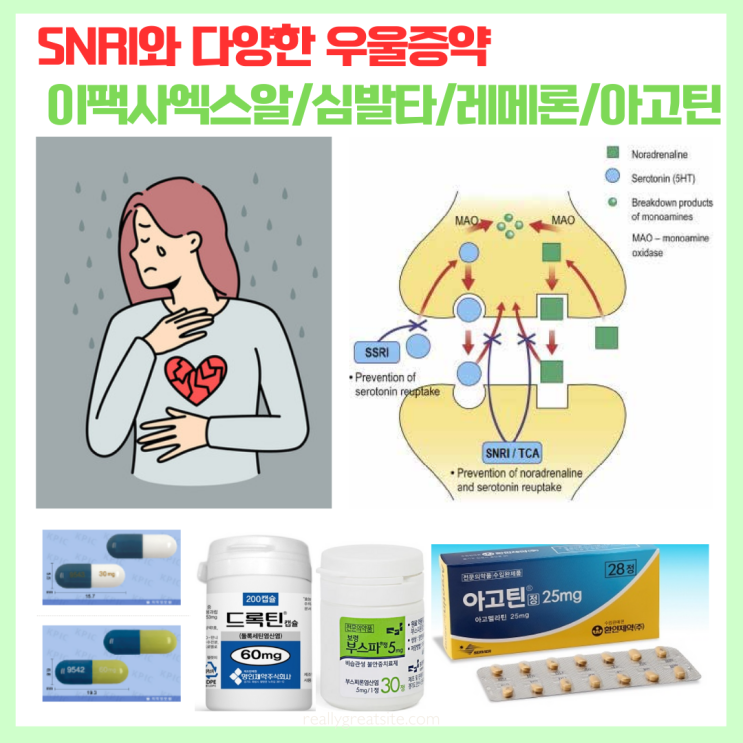 SNRI와 다양한 우울증약 (이팩사엑스알/심발타/레메론/아고틴) : 네이버 블로그