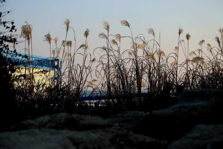 죽성의 오후 : 네이버 블로그