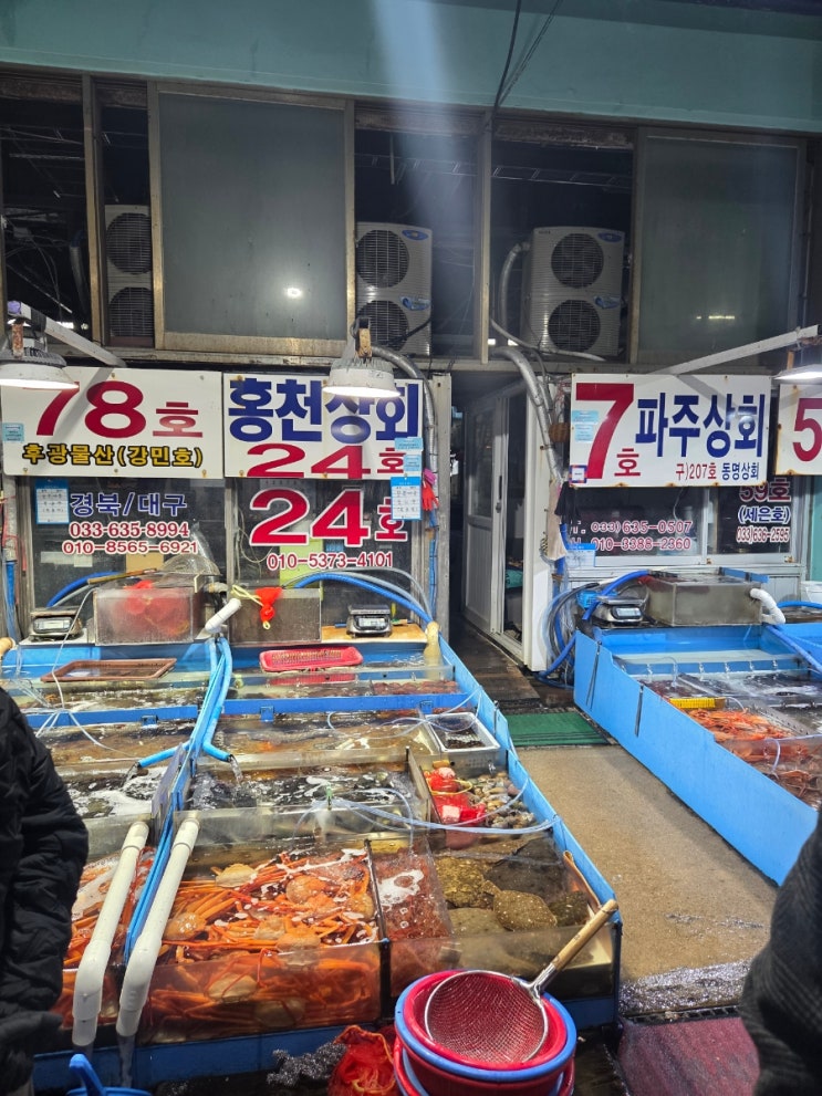 속초 동명항 회 맛집 추천 24호 홍천상회 광어 활어회 솔직후기 가성비강추 : 네이버 블로그