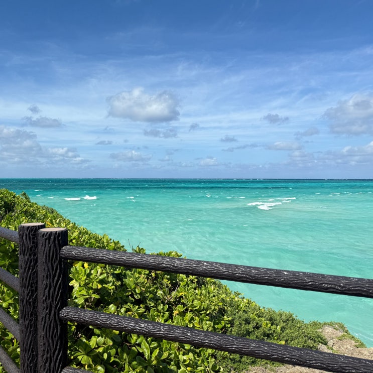 미야코블루 추억쌓기 : 네이버 블로그