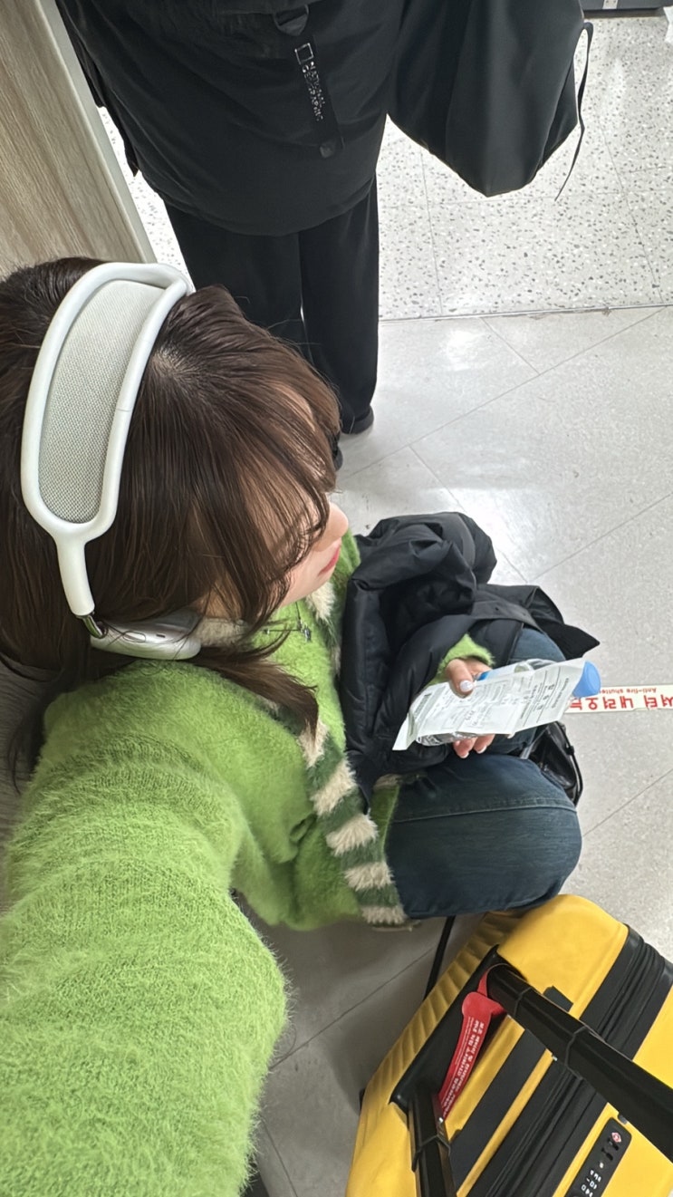 정신 안 차리면 막 제주도 갔다가 서울 갔다가 영월감 : 네이버 블로그