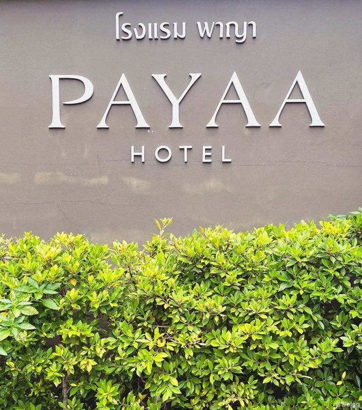 태국 파타야 숙소 추천 24시간 체크인 가능한 파야호텔 payaa hotel 조식 내돈내산 솔직후기 : 네이버 블로그
