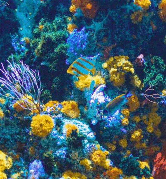 신장염, 어떤 증상과 관리 방법이 있을까요? : 네이버 블로그