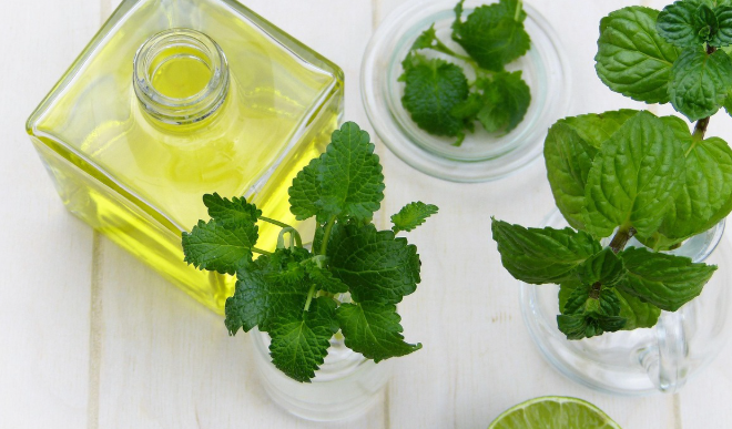 신풍제약 주식, 저평가된 제약주의 성장 가능성 : 네이버 블로그