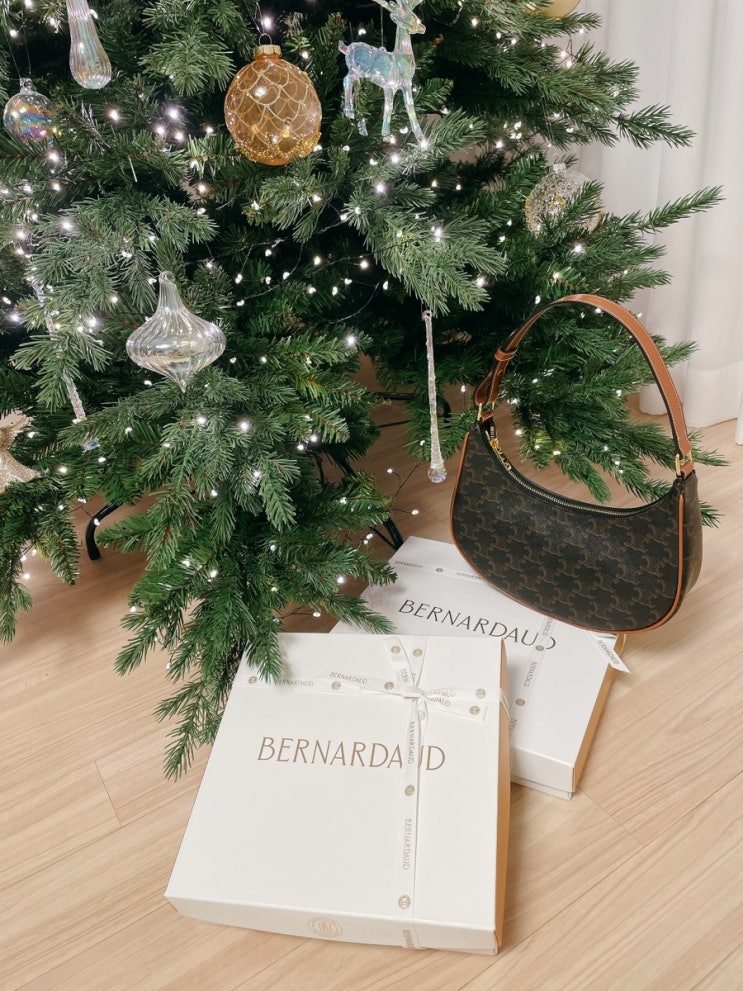 셀린느 트리옹프 캔버스 아바백 - 휘뚤마뚤 1등 가방.. : 네이버 블로그