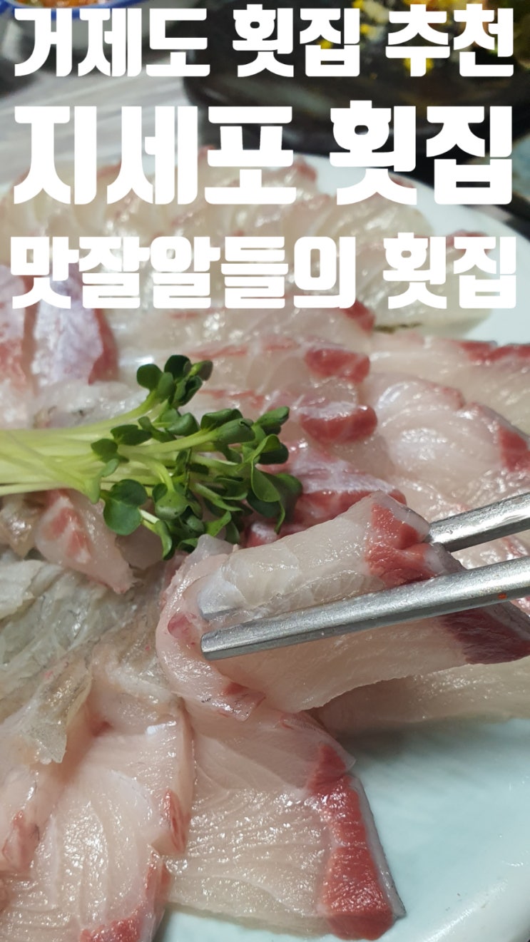 거제도여행 회 맛집 지세포 횟집 내돈내산 스페셜메뉴 & 라마다 스위츠 거제 호텔 : 네이버 블로그