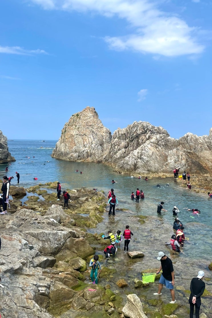 삼척 장호항 한국의 나폴리 /스노클링 명소 /장호항맛집,회센터/내돈내산 : 네이버 블로그