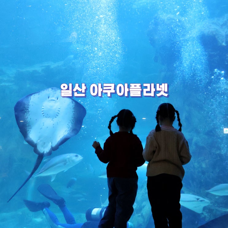 일산 아쿠아플라넷 가격 할인 실내 놀거리 아이와 가볼만한곳 : 네이버 블로그